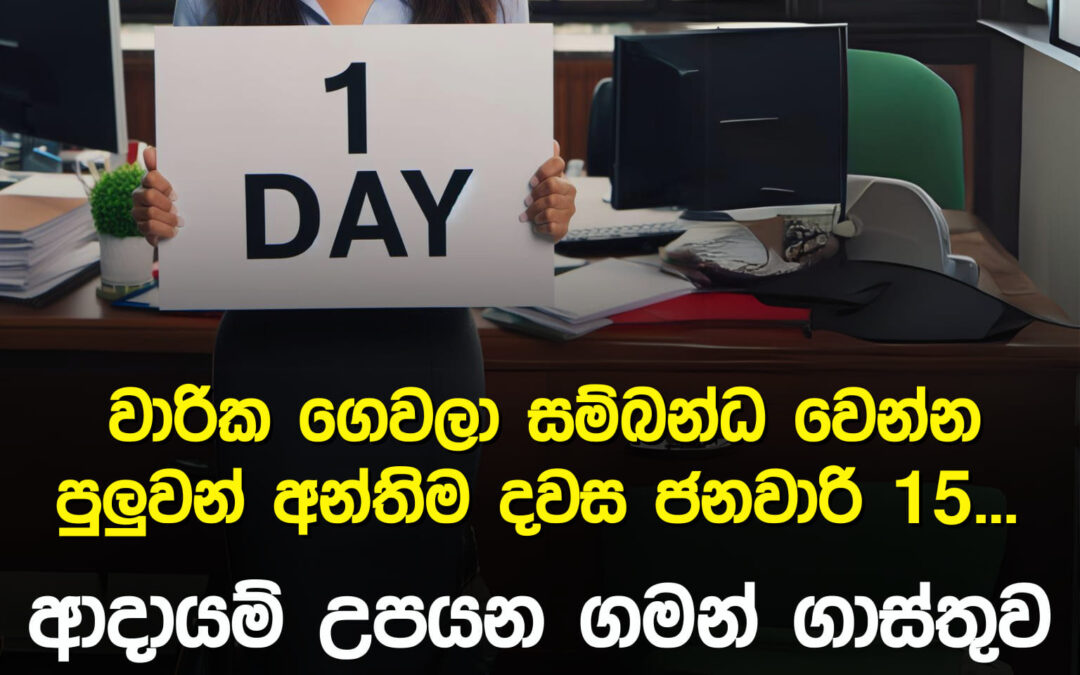 Business HUB New Features | Business HUB Sri Lanka